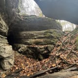 Hickory Ridge Outer Trail, Tennessee - 384 Reviews, Map | AllTrails