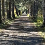 Chehalis Western Trail, Washington - 546 Reviews, Map | AllTrails