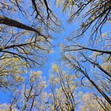 Gold Mine Loop Trail, Maryland - 999 Reviews, Map | AllTrails