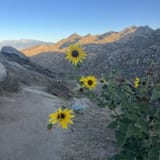 Two Trees Trail, California - 1,389 Reviews, Map | AllTrails