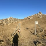 Two Trees Trail, California - 1,389 Reviews, Map | AllTrails