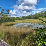 Apoxee and Owahee Trail Loop, Florida - 401 Reviews, Map | AllTrails