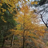 Gorge Overlook Loop via Buckeye Trail, Ohio - 4,156 Reviews, Map ...