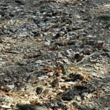 Salt Run, Ohio - 1,515 Reviews, Map | AllTrails