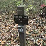 Salt Run, Ohio - 1,515 Reviews, Map | AllTrails
