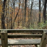 Salt Run, Ohio - 1,515 Reviews, Map | AllTrails