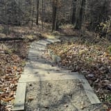 Salt Run, Ohio - 1,515 Reviews, Map | AllTrails