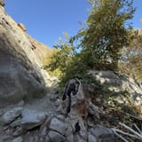Tahquitz Canyon Loop, California - 4,587 Reviews, Map | AllTrails