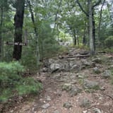 Tippling Rock and Fords Folly, Massachusetts - 659 Reviews, Map | AllTrails