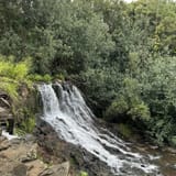 Hoopii Falls Trail, Kaua'i, Hawaii - 5,603 Reviews, Map | AllTrails