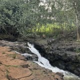 Hoopii Falls Trail, Kaua'i, Hawaii - 5,603 Reviews, Map | AllTrails