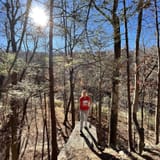 High Rocks, Pennsylvania - 3,671 Reviews, Map | AllTrails