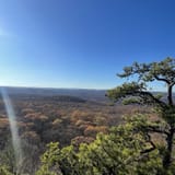 Reeves Brook Loop Trail, New York - 5,230 Reviews, Map | AllTrails
