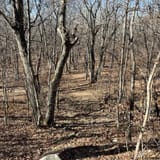 Hawksbill Loop Trail, Virginia - 5,338 Reviews, Map | AllTrails
