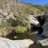 Romero Canyon Trail to Romero Pools, Arizona - 4,243 Reviews, Map ...