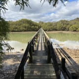 Waitangi to Haruru Falls Walk, Northland, New Zealand - 286 Reviews ...