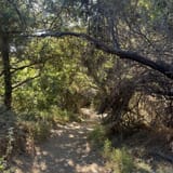 Temescal Canyon Trail, California - 12,010 Reviews, Map | AllTrails