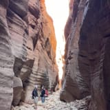 Wire Pass Trail, Utah - 3,318 Reviews, Map | AllTrails