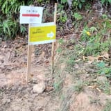 Bukit Penarikan, Negeri Sembilan, Malaysia - 467 Reviews, Map | AllTrails