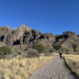 Dripping Springs Trail, New Mexico - 2,364 Reviews, Map | AllTrails