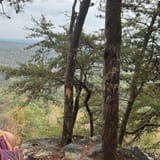 Kings Chair Loop, Alabama - 2,407 Reviews, Map | AllTrails