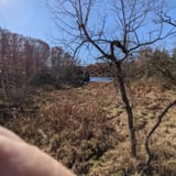 Washington Valley Park Trail, New Jersey - 648 Reviews, Map | AllTrails