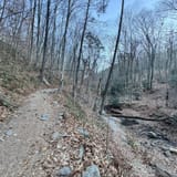 Mount Tammany via Red Dot and Blue Dot Loop Trail, New Jersey - 15,276 ...