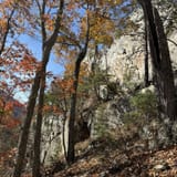 Seneca Rocks Trail, West Virginia - 3,453 Reviews, Map | AllTrails