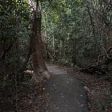 Anhinga Trail, Florida - 1,873 Reviews, Map | AllTrails