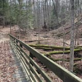 Salt Run, Ohio - 1,515 Reviews, Map | AllTrails