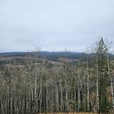 Fullerton Loop Trail, Alberta, Canada - 4,376 Reviews, Map | AllTrails