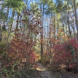 Kelly's Run Loop Trail, Pennsylvania - 3,963 Reviews, Map | AllTrails