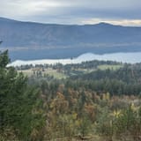 Cape Horn Loop Trail, Washington - 3,710 Reviews, Map | AllTrails