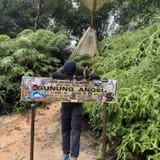 Mount Angsi, Negeri Sembilan, Malaysia - 1,048 Reviews, Map | AllTrails
