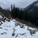 Snow Lake Trail, Washington - 14,553 Reviews, Map | AllTrails