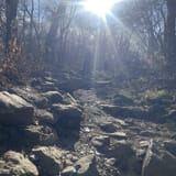Hawksbill Loop Trail, Virginia - 5,338 Reviews, Map | AllTrails
