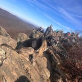 Hawksbill Loop Trail, Virginia - 5,084 Reviews, Map | AllTrails