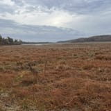 Neabsco Creek Boardwalk, Virginia - 971 Reviews, Map | AllTrails