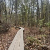 Neabsco Creek Boardwalk, Virginia - 971 Reviews, Map | AllTrails