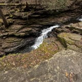 Fiery Gizzard Loop, Tennessee - 1,321 Reviews, Map | AllTrails