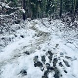 Emerald Lake Loop, British Columbia, Canada - 3,886 Reviews, Map ...