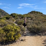Stoddard Peak, California - 2,521 Reviews, Map | AllTrails
