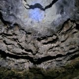 Dames Cave, Florida - 626 Reviews, Map | AllTrails