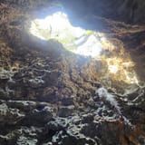 Dames Cave, Florida - 626 Reviews, Map | AllTrails
