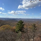 Reeves Brook Loop Trail, New York - 5,230 Reviews, Map | AllTrails