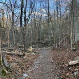 Reeves Brook Loop Trail, New York - 5,230 Reviews, Map | AllTrails