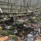Reeves Brook Loop Trail, New York - 5,230 Reviews, Map | AllTrails