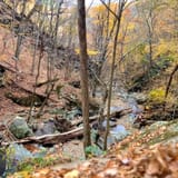 Whiteoak Canyon and Cedar Run Trail Loop, Virginia - 2,957 Reviews, Map ...