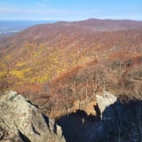 Hawksbill Loop Trail, Virginia - 5,338 Reviews, Map | AllTrails