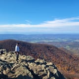 Hawksbill Loop Trail, Virginia - 5,338 Reviews, Map | AllTrails